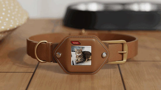 PhotoTag: E-Ink Tracker, Your Items, Your Style